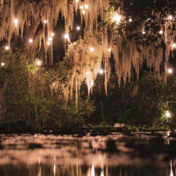 Williams Sonoma | Accents | Enchanted Forest Vibes Spanish Moss Wedding ...